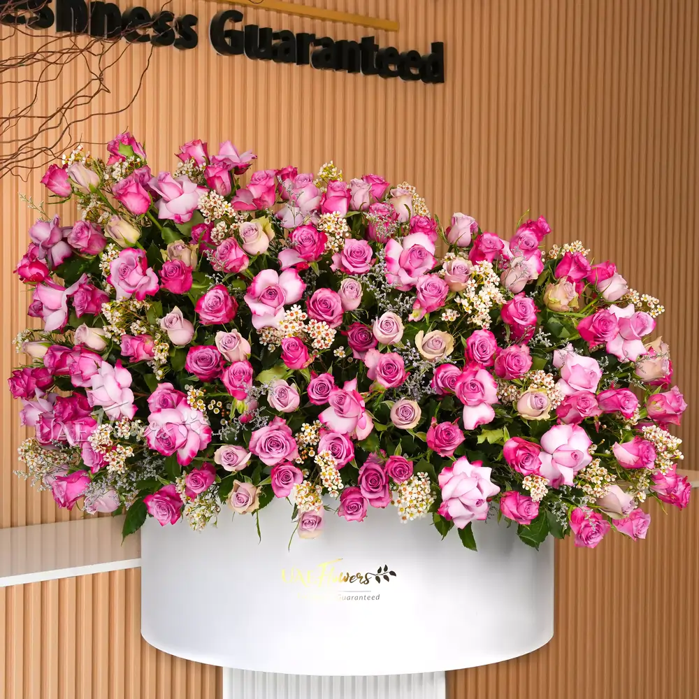 XXXL Grand Purple Box Arrangement By UAE Flowers